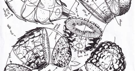 Lesson 2 Contour Lines Texture And Construction Album On Imgur