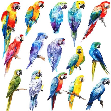 Premium Vector Blue And Yellow Macaw