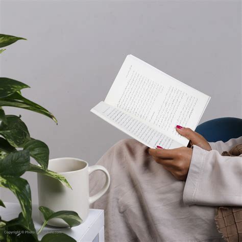 قیمت و خرید کتاب چگونه ویتگنشتاین بخوانیم اثر ری مانک نشر نی
