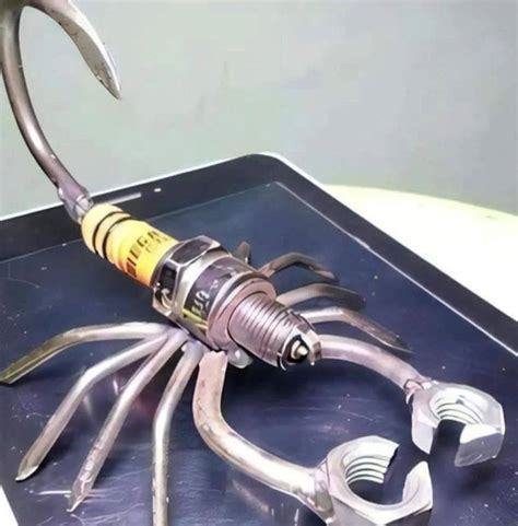 Sic A Apresentadora Do Curto Circuito Pode Ser Coroada Facebook