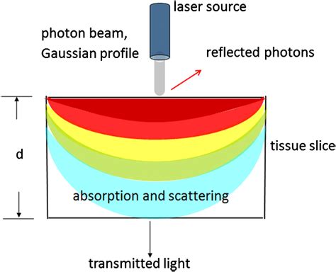 The Three Dimensional Model Geometry For Monte Carlo Simulations Download Scientific Diagram