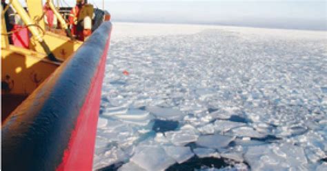 북극탐험·3d 공룡명품다큐 즐비