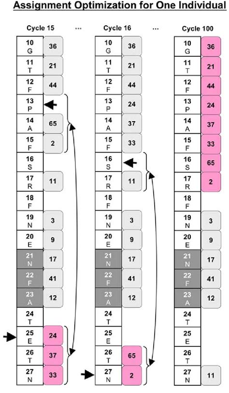 Assignment Optimization 6 In The Template Graph Fig 1 The