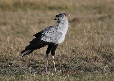 Rust 러스트의 꽃 Ownership 파헤치기 나를 가지세요 🙈 By Kwoncheol Shin Medium
