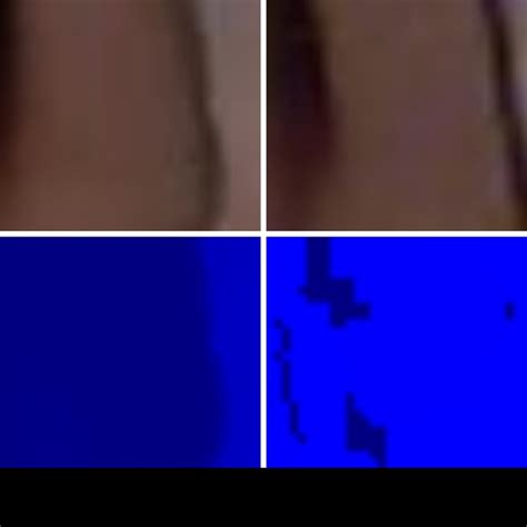 Wo Patchmatch And W Patchmatch Download Scientific Diagram