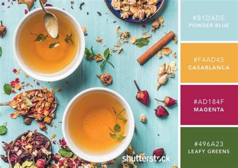 101 Color Combinations To Inspire Your Next Design Free Swatch