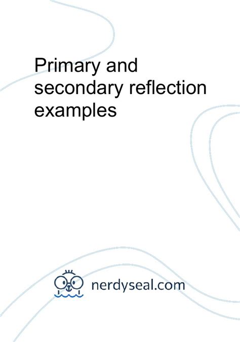 Primary And Secondary Reflection Examples 2842 Words Nerdyseal