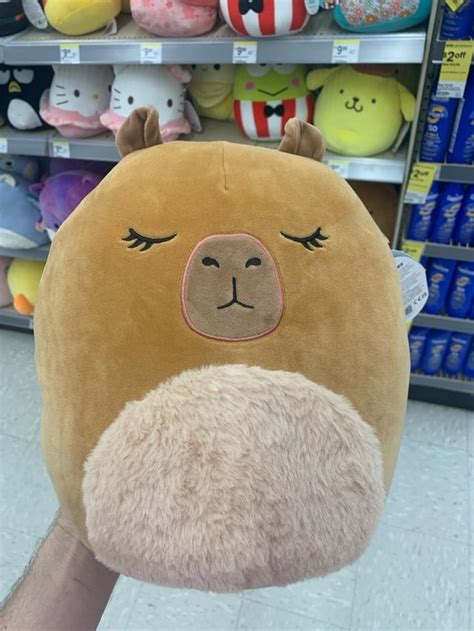 My Bf Bought The Capybara Squish For Me 😍 Shes My New Best Friend