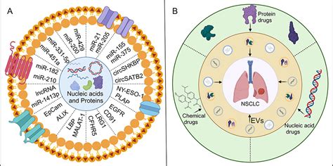 Unraveling The Connection Extracellular Vesicles And Non Small Cell L IJN