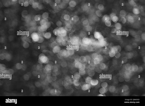 lens flares, blurred bokeh lights in white and gray on black for web ...