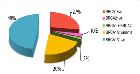 Results Of Genetic Testing Download Scientific Diagram