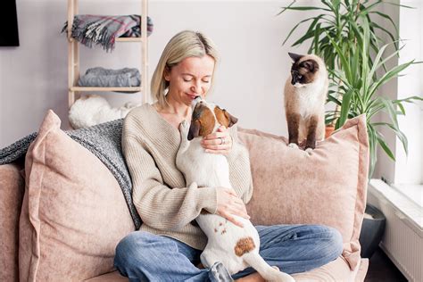 Os benefícios de ter um animal de estimação saúde felicidade e