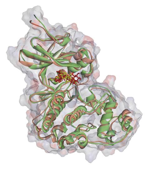 Superimposed Structures Of Mapk3 Complexed With A Kaempferol Download Scientific Diagram