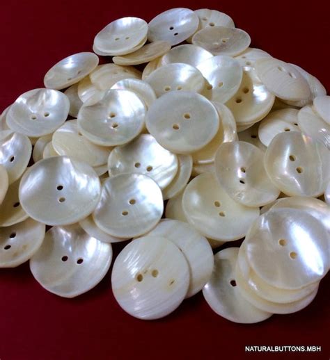60 Natural River Shell Buttons Shell Button White Shell Etsy