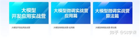贪心科技大模型微调实战营 应用篇 算法篇2024 知乎
