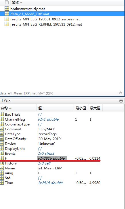 Exporting Cortical Activity To Matlab Discussions Brainstorm