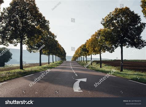 Tree Line Over 795 195 Royalty Free Licensable Stock Photos Shutterstock