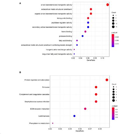 Functional Enrichment Analysis Of The Degs A Top 12 Go Terms Of