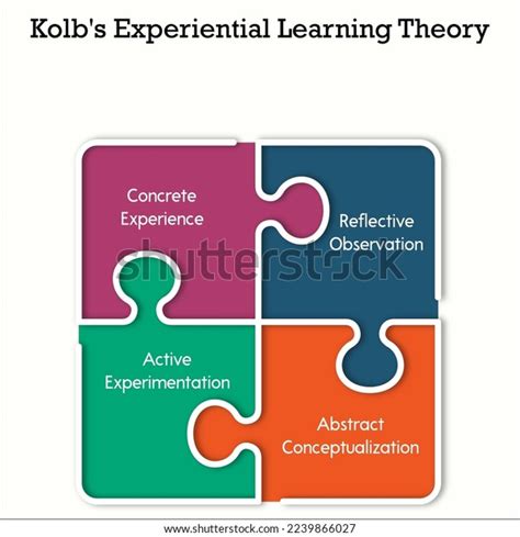 Kolbs Experiential Learning Theory Infographic Template Stock Vector
