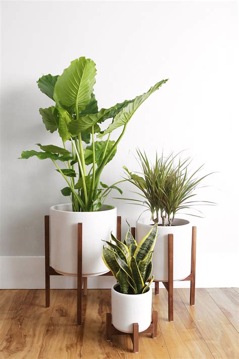 Medium Mid Century Modern Plant Pot Plant Stand Planter Etsy Plant
