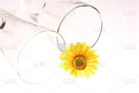 两个水晶玻璃杯和一朵黄花