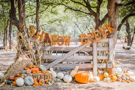 15 Best Dallas Fort Worth Pumpkin Patches Mommy Travels