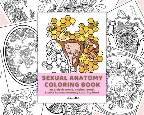 Sexual Anatomy Coloring Book Page Pdf Etsy
