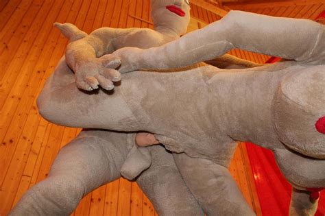 Sex Position Dolphin