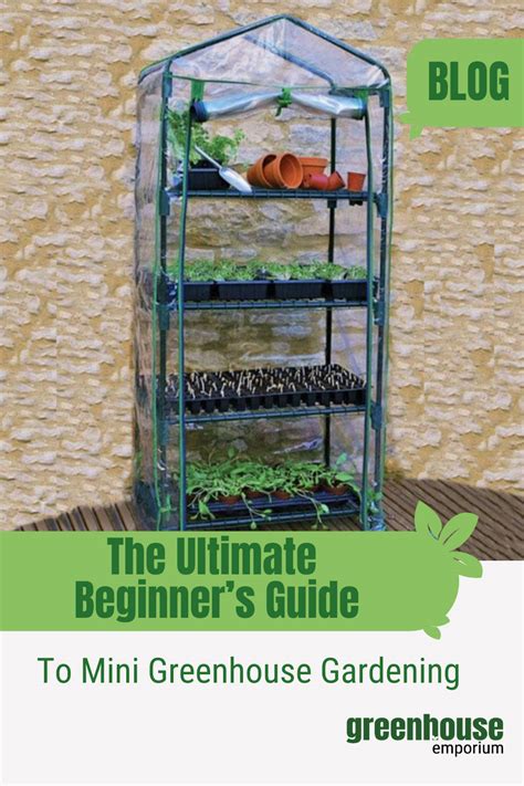 How To Use A Mini Greenhouse For Beginners Ultimate Guide