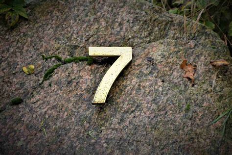 Fun Facts About Number That Will Amaze You Amazing Facts Home