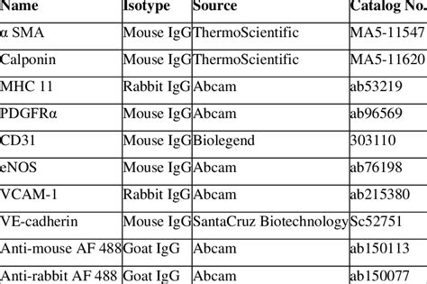 Primer Sequences Used For Qrt Pcr Analysis Download Scientific Diagram