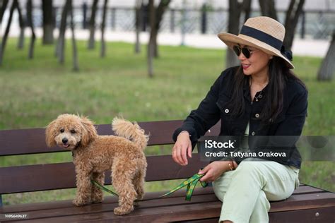선글라스와 모자를 쓴 아시아 소녀가 강아지와 함께 벤치에 앉아 있다 야외에 있는 젊은 여성의 여름 초상화 Friends Of The Earth에 대한 스톡 사진 및 기타