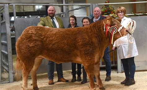 Red Ruby Leads Skipton Prime Cattle Trade Farm News Farmers Guardian