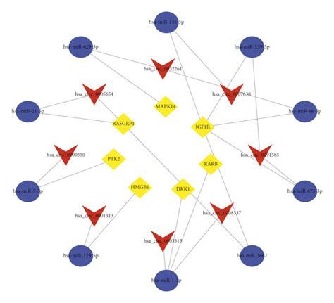 construction of the signature based cerna subnetwork based on the