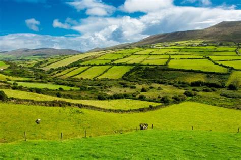 Bog Standard Research Reveals Truth On Emissions