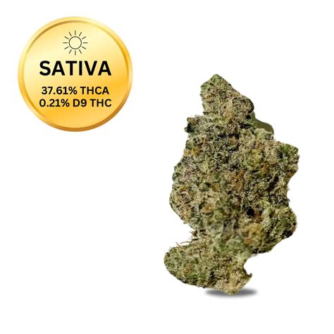 Buy Banana Punch Thca Flower Sativa Strain Atlrx