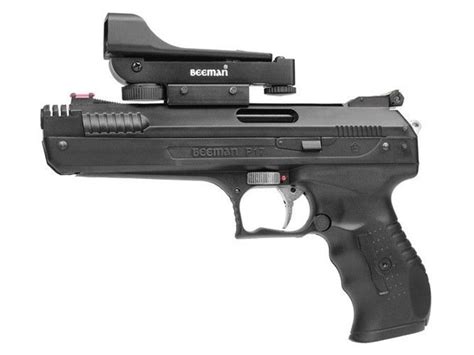 Beeman 2006 P17 Range And Country