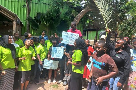 Bridge Academies Pupils Beat Odds To Post Impressive Results Nation