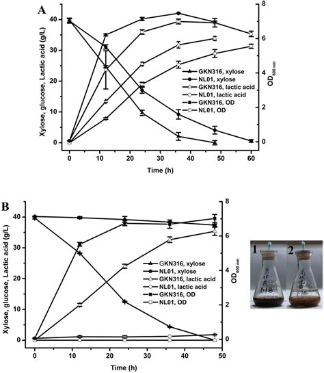 Comparison Of Lactic Acid Production And Cell Growth By Using Bacillus Download Scientific