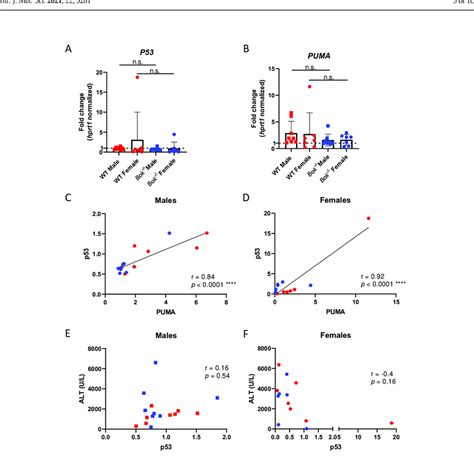 P53 Expression Correlates With Puma Expression But Not With The