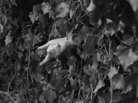 The Not So Serious Sub Forum Page 28 Xnxx Adult Forum