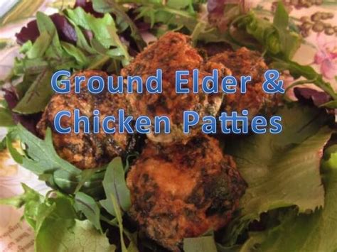 Ground Elder And Chicken Patties Recipe