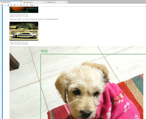 Ungraded Lab Week Cannot Do Object Detection With New Images Machine Learning In Production