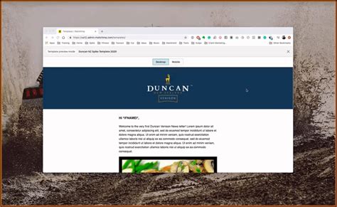 mailchimp drag and drop template template 2 resume examples n49mdezd2z