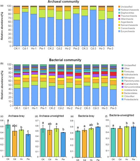 Microbial Community Profiles Of Benthic Prokaryotic Microbiology