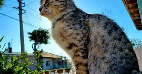 Where Sunny Album On Imgur