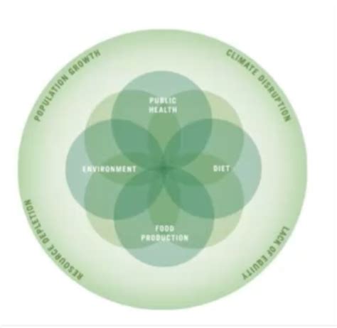 Environmental Epidemiology Flashcards Quizlet