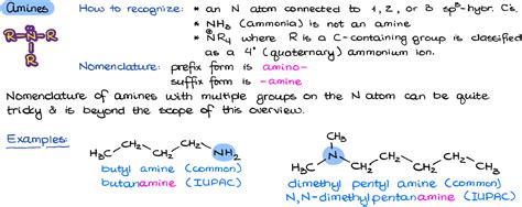 Nitrogen Functional Groups Organic Chemistry
