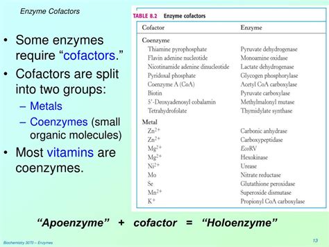 Ppt Enzymes Powerpoint Presentation Free Download Id 89282
