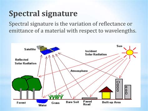 Spectral Reflectance Curve Of Dead Stressed Vegetation Ppt